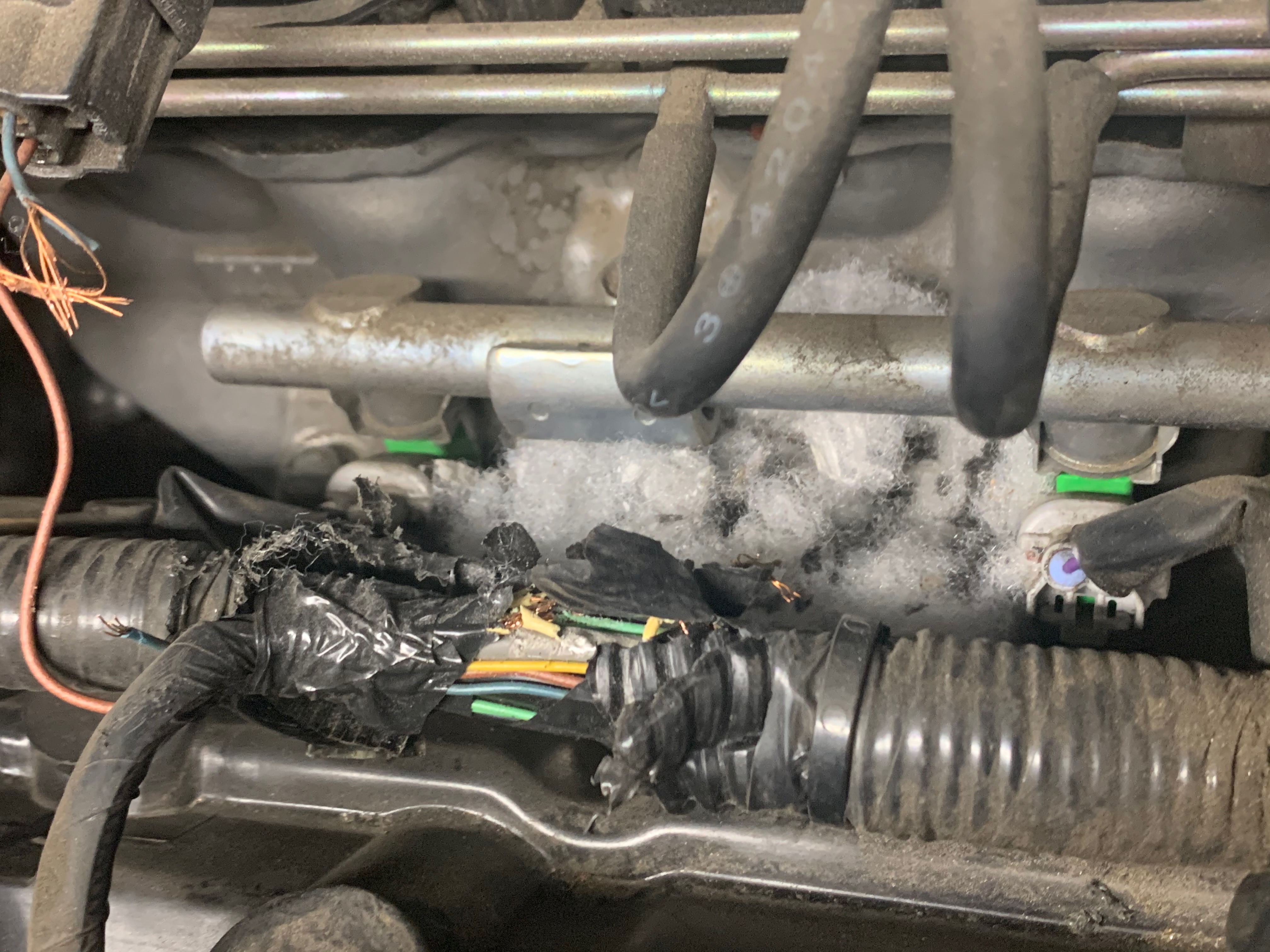 Rodent Damage - $12K Repair Estimate! - Off-Ramp - FORUM | LEASEHACKR